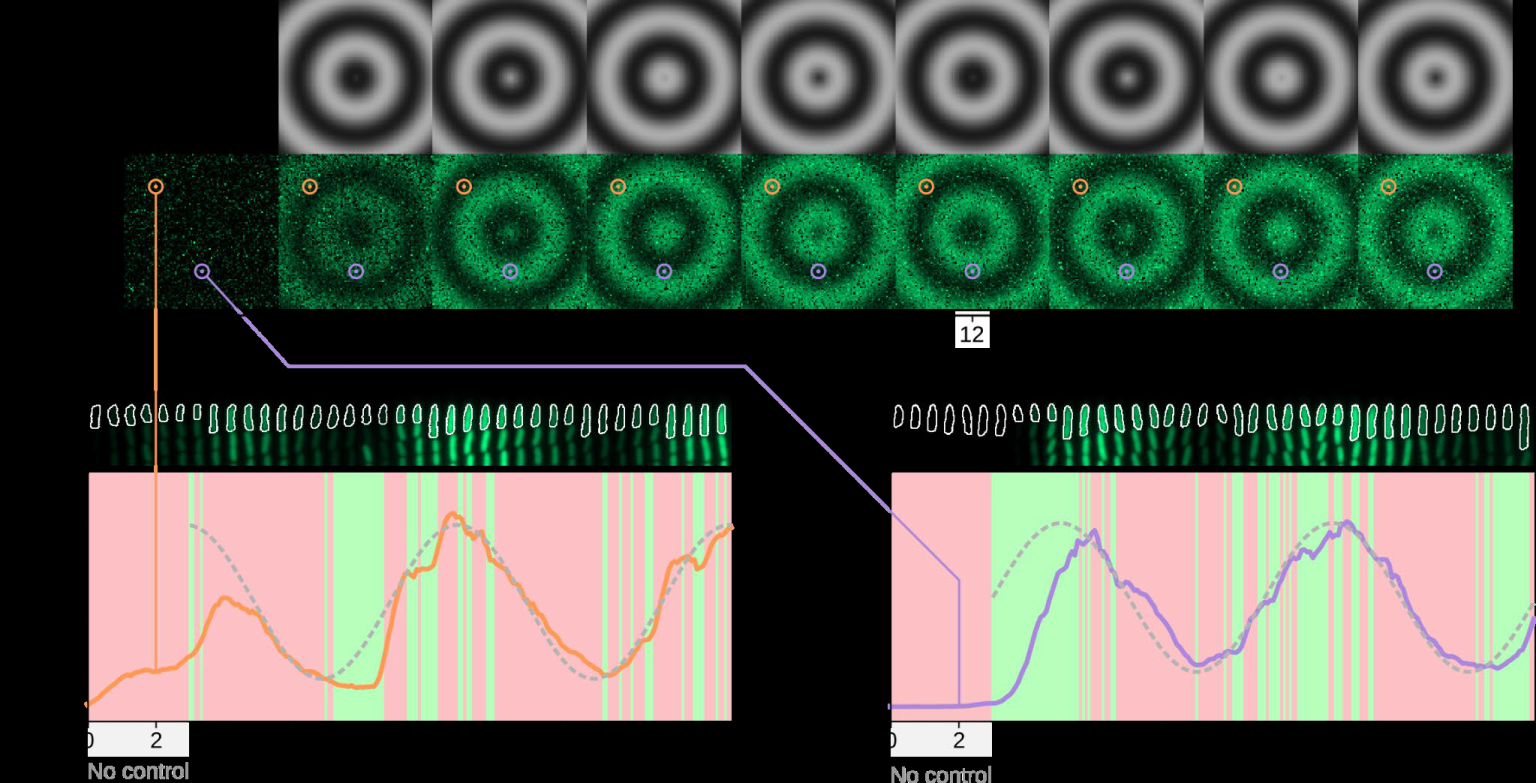 Deep model predictive control via optogenetics with the Mightex Polygon | Mightex | Stimulation ...