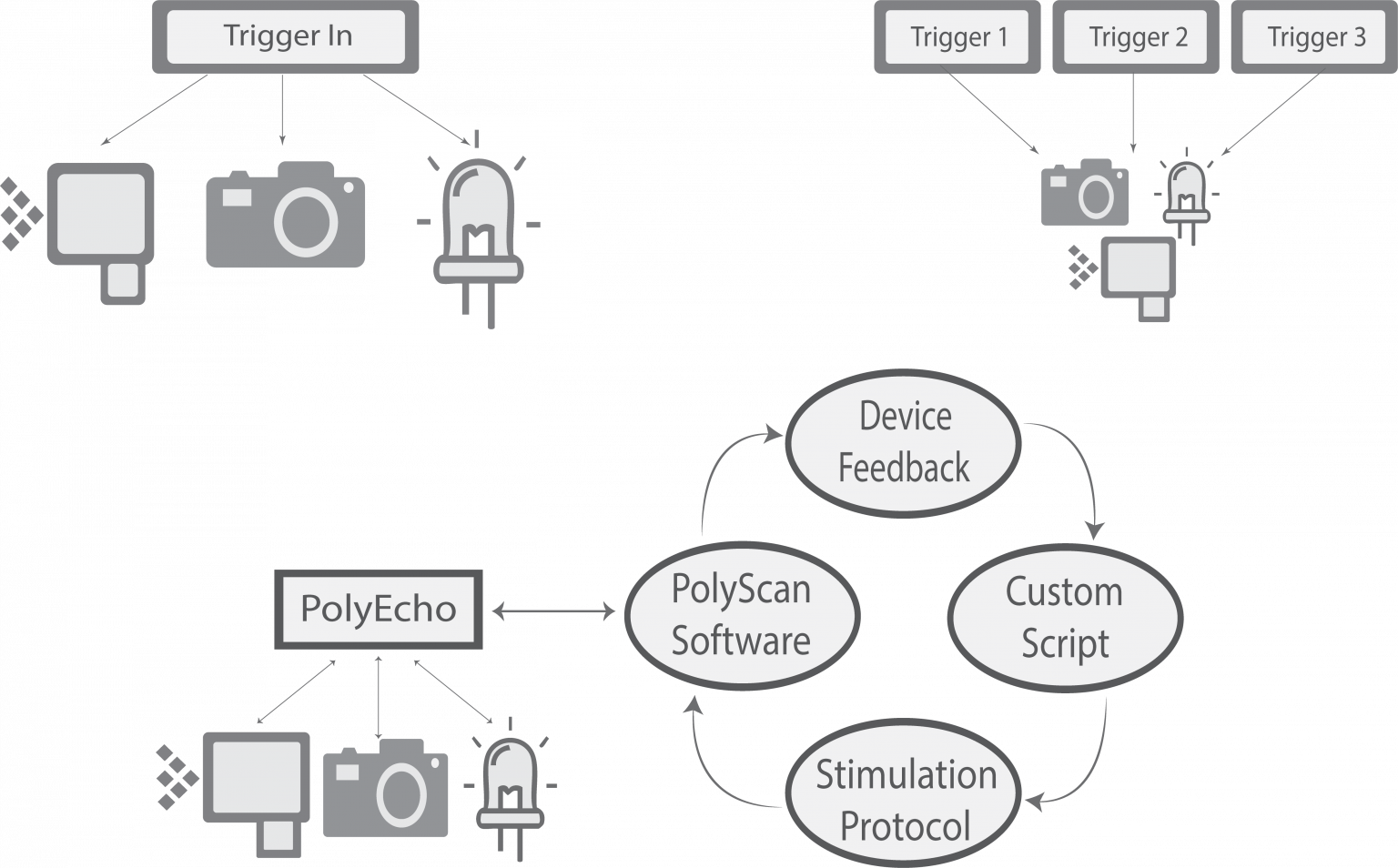 PolyEcho Intelligent Control Module | Mightex | Stimulation and Imaging ...
